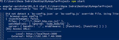 Cara Instal Angular 2