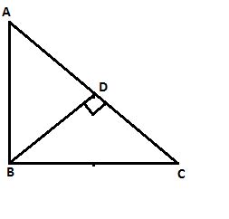 CBSE Class Maths Chapter Triangles Objective Questions Important MCQs