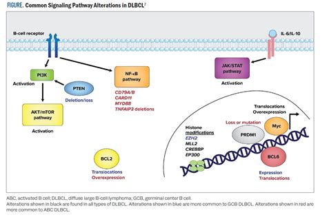 3 Things You Should Know About Biomarkers In Dlbcl