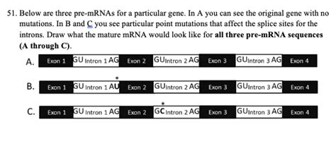 Solved G 53 You Are Given The Dna Coding Strand Of A Gene