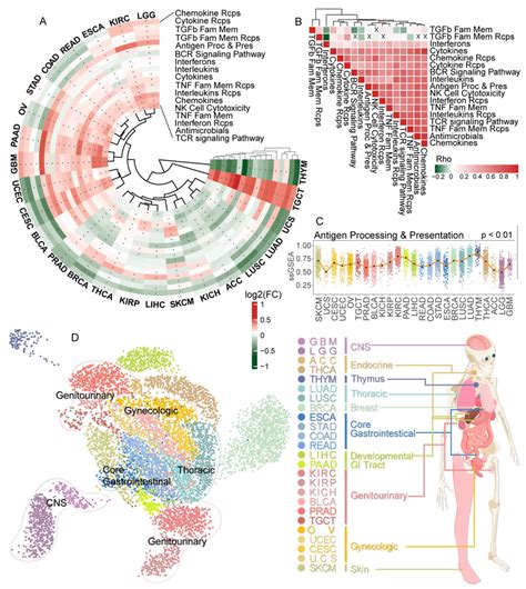 Dysregulated Immune Related Pathways In Pan Cancer A Circos Heatmap