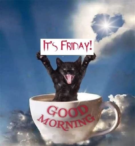 Pin By Evelyn Raymond On T Good Morning Friday Work Related