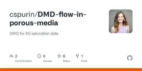 Github Cspurin Dmd Flow In Porous Media Dmd For 4d Saturation Data