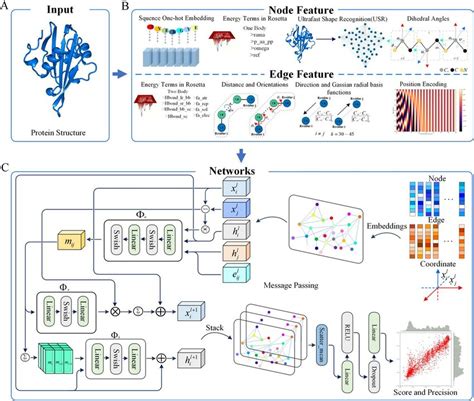 Pipeline Of Graphgpsm A Input Protein Structure B Node And Edge