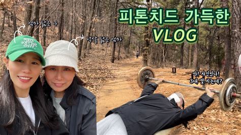 임산부 운동 Vlog 피톤치드 가득한 일상 브이로그 가벼운 운동 Youtube