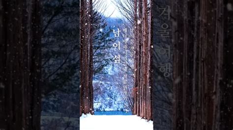 네이버 인플루언서