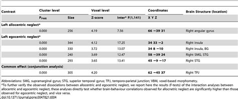 Grey Matter Substrates Of Chronic Allocentric Vs Egocentric Neglect