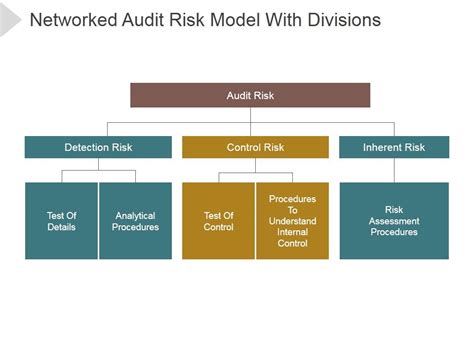 Networked Audit Risk Model With Divisions Ppt Powerpoint Presentation Professional