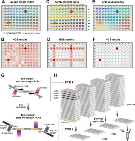 Multiplexed Detection Of Sars Cov 2 And Other Respiratory Infections In High Throughput By