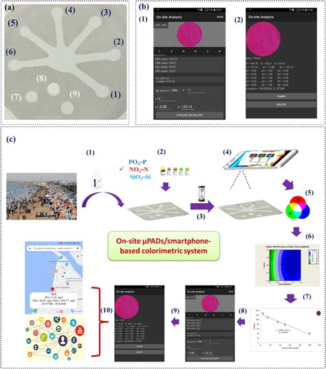 A The µpad Used For Detection Of Phosphate Nitrite And Silicate Download Scientific Diagram