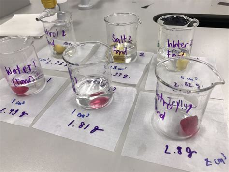 Osmosis Experiment Evaluation At Frank Keith Blog