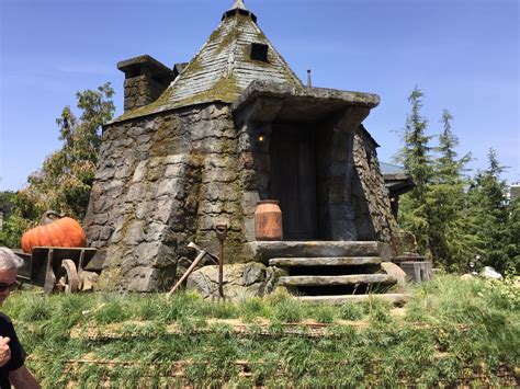 Hagrids Hut Hagrids Hut House Styles Miniature Crafts