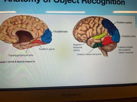kaarten object recognition quizlet