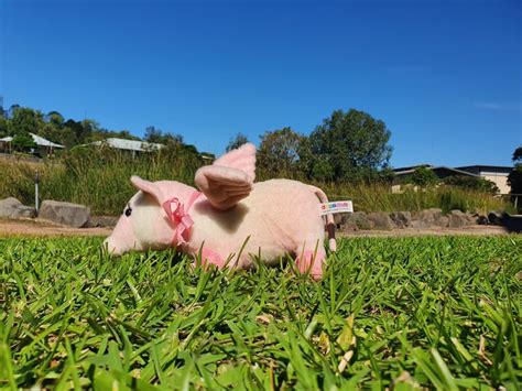 What I Learned From Creating A Merge Queue Team Agile