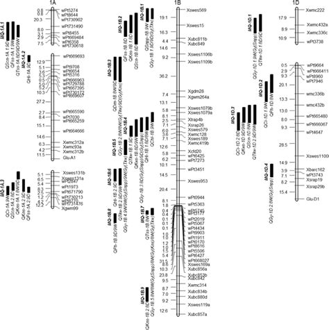 Locations Of Qtls Detected In Four Environments Based On Rils Derived
