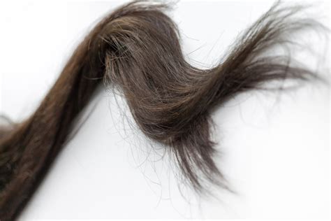 Forensic Infidelity Dna Testing With Hair Validity Genetics Dna And Paternity Testing Services