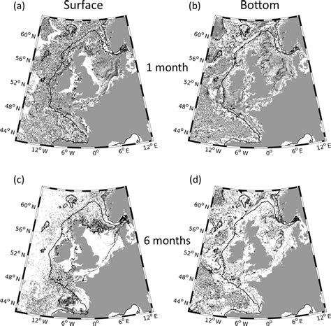 Particle Positions After A B 1 Month And C D 6 Months Released On