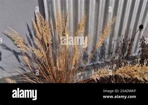 Perforated Metal Cladding Stock Videos And Footage Hd And 4k Video