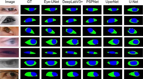 Visualized Results Of The Three Classification Segmentation Experiment