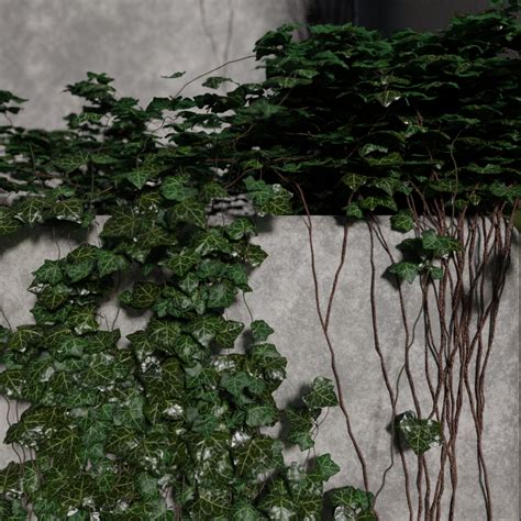 Blenderkit Superhive Formerly Blender Market