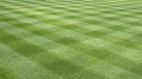 Eye Catching Lawn Mowing Patterns To Try Yarbo