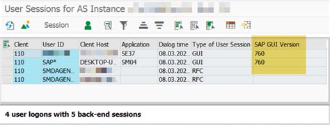 How To Find Logged Users Sap Gui Version