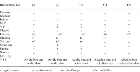 Table 3 From Antimicrobial Activity Of Bacteriocin Produced By Lactic Acid Bacteria Isolated