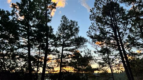 Shannon Scheel Realtor Shannonscheelrealtor Profile Pinterest