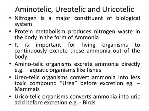 Molecular Taxonomy Pptx
