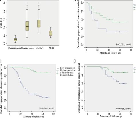 Expression Pattern Of Mir 141 And Its Correlation With The Prognosis Of