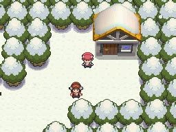 Pokémon Platinum Move Tutors