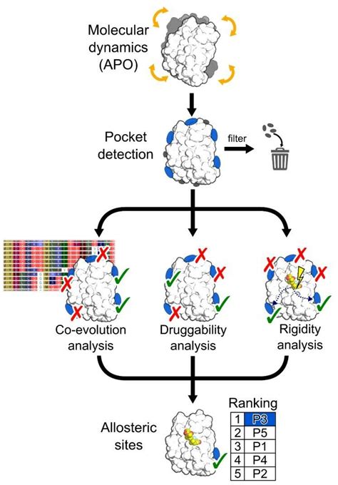 Schematic Representation Of The Workflow Md Simulations Are Performed Download Scientific