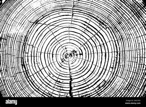 Tree Rings Saw Cut Tree Trunk Background Vector Illustration Stock Vector Image Art Alamy