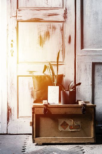 로프트의 거실 인테리어의 현대적인 디자인입니다 무료 Copyspace와 회색 나무 벽입니다 오래 된 나무 상자에 콘크리트 냄비에 추세 녹색 합니다 텍스트 및 디자인을 위한