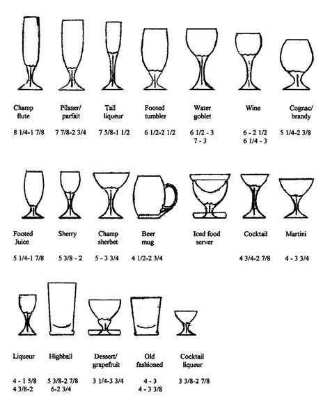 Types Of Wine Glasses Shapes Colorsquest