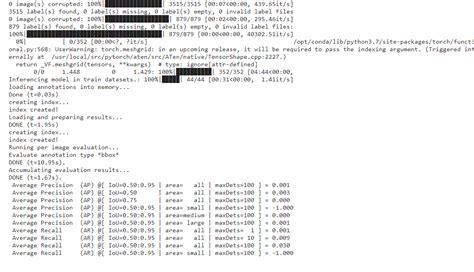 Training Doesn T Seem To Run Properly Issue Meituan YOLOv GitHub
