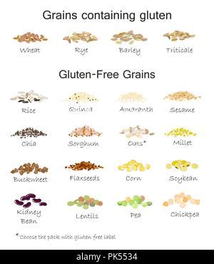 Gluten Free And Containing Gluten Grains Infographic Healthy And