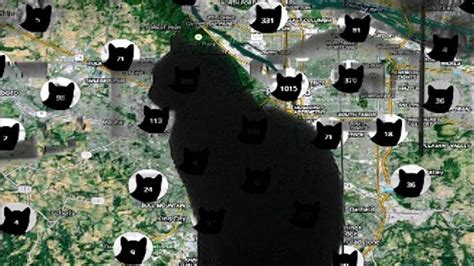 I Know Where Your Cat Lives