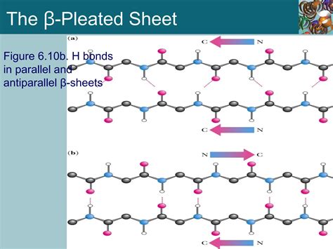 Proteins Part 2 Proteins Secondary Tertiary And Quaternary Structure Ppt