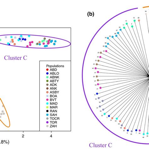 Patterns Of Genetic Variation Among Individuals From All Sampling Download Scientific Diagram