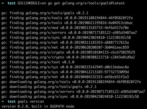 vscode always hint gopls is out of date after go get gopls · issue