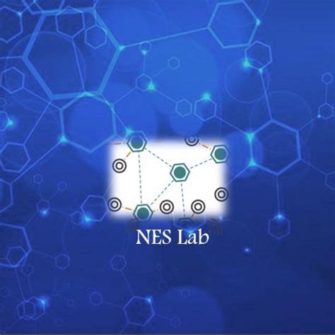 Networked Embedded Systems Lab