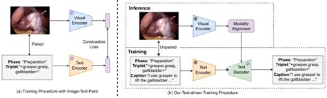 [논문 리뷰] Text Driven Adaptation Of Foundation Models For Few Shot Surgical Workflow Analysis