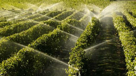 Mipatex Rain Pipe Divert Rainwater Polyethylene Glossy Coating Arad