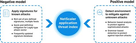 Netscaler Web Application Firewall