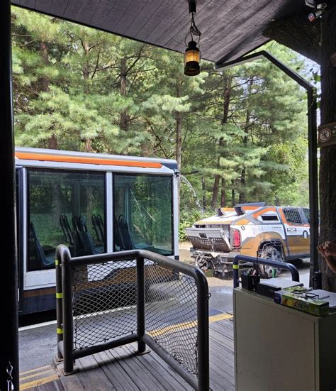 에버랜드 아기랑 사파리 로스트밸리 꿀팁 추천 용인 아기랑 갈만한 곳