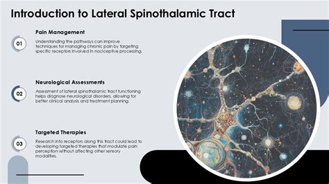 Introduction To Lateral Spinothalamic Tract Ppt Demonstration Acp Ppt Presentation