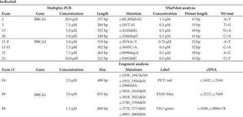 Table 1 From Rapid Screening Test Of Most Frequent Brca1 Brca2 Pathogenic Variants In The Ngs