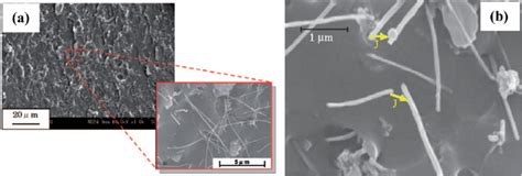 the microstructural sem photograph of mwcnt epoxy nanocomposite sensor
