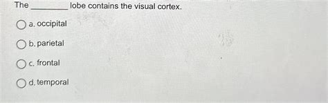 Solved The Lobe Contains The Visual Cortex A Occipitalb Chegg Com
